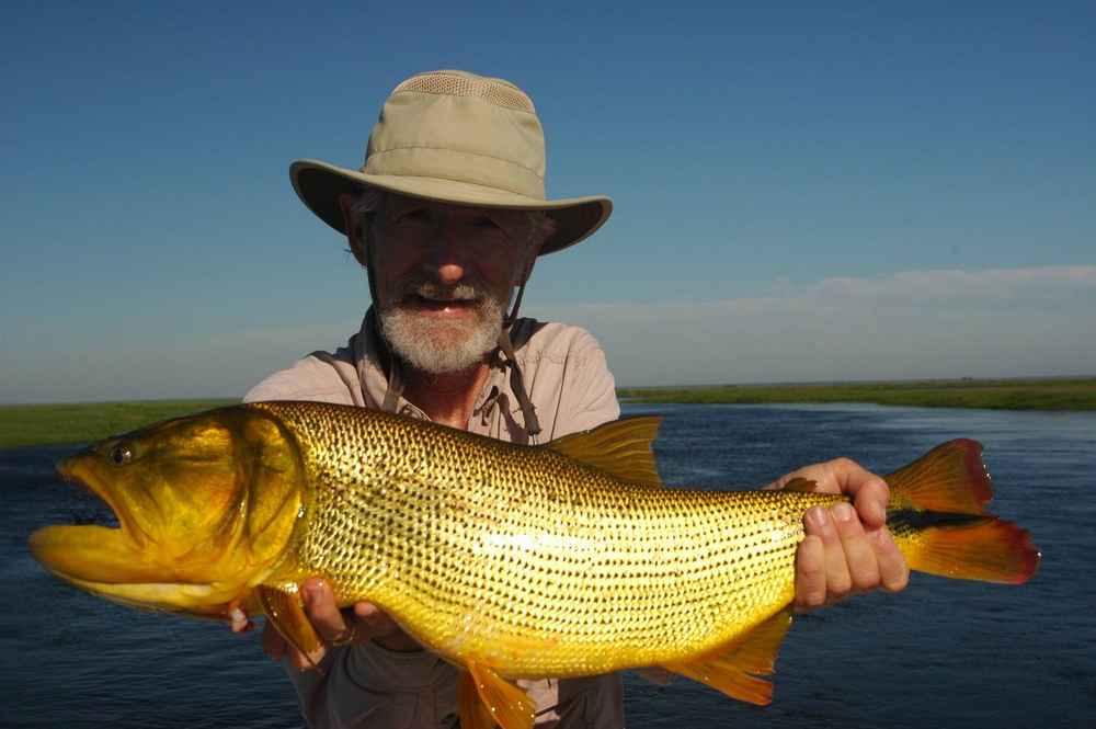 2014 - Delta Eco Lodge